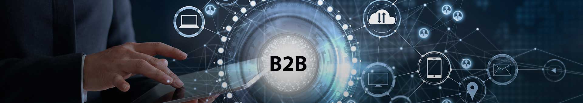 B2B eCommerce Solutions | B2B eCommerce Software Solutions UK